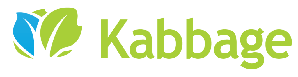Kabbage Review 2020 | Flexible Small Business Loans